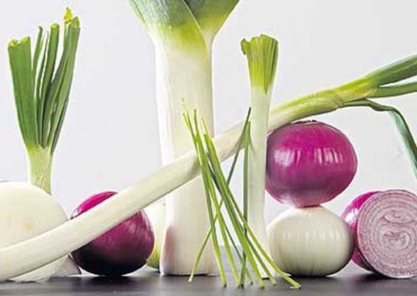La Cebolla | Como utilizar la cebolla en Que Cocinar