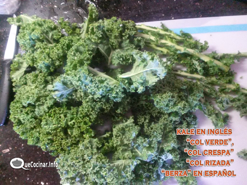 Ensalada de Col Rizada, Alcachofa y Aguacate